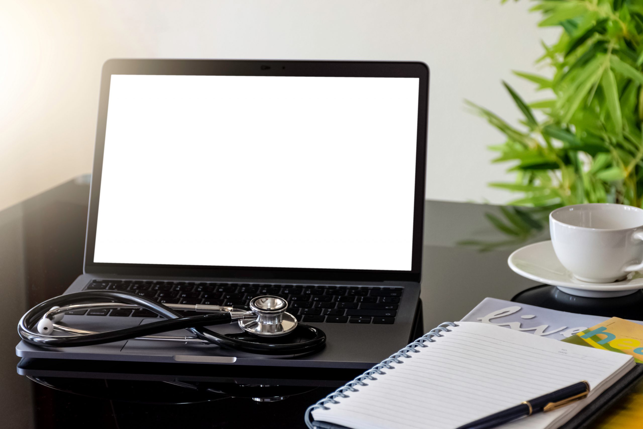 L’institut national d’excellence en santé et en services sociaux ...